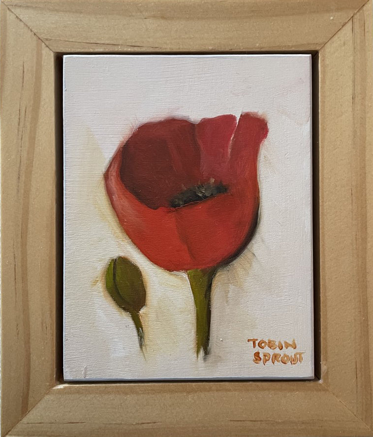 poppy – Tobin Sprout